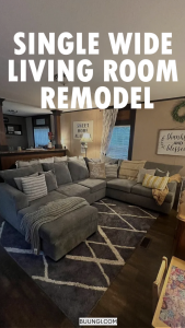 13 Single Wide Mobile Home Living Room Remodel Ideas
